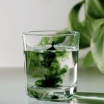 Green PE (Bio-PE) for extrusion, injection & blow molding - FKuR (EN)